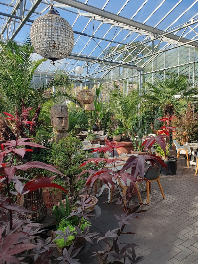 Asian Fusion Evening - Friday 26th July – The Pavilion