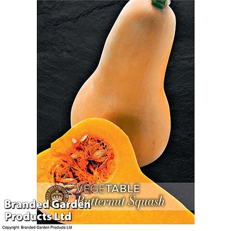 Squash Winter Butternut Hunter F1 – The Pavilion